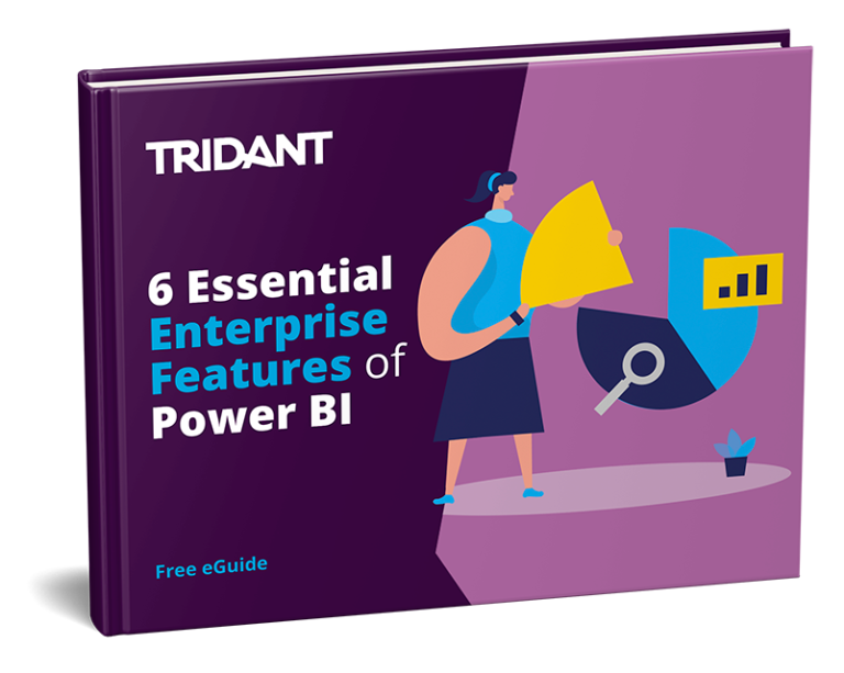 Everything You Need To Know About Power BI - Tridant